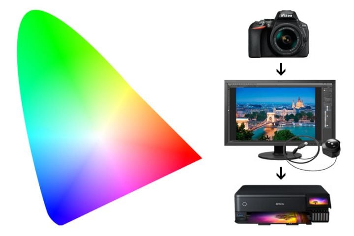 Workshop Color Management (Kleurmanagement) | Van camera tot print