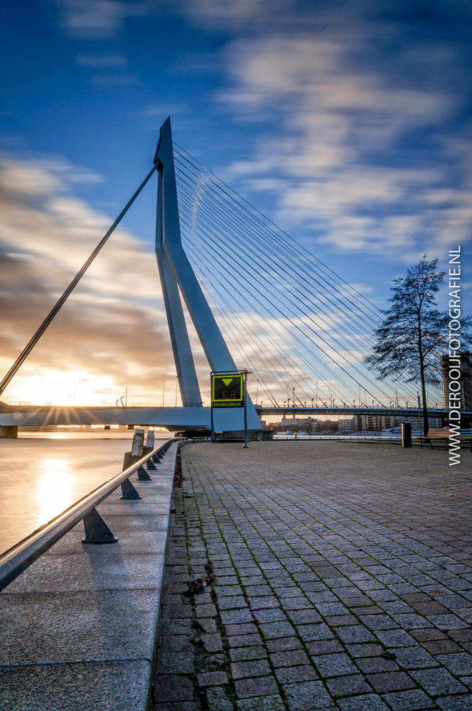 11 Mooiste foto's van de Erasmusbrug in Rotterdam