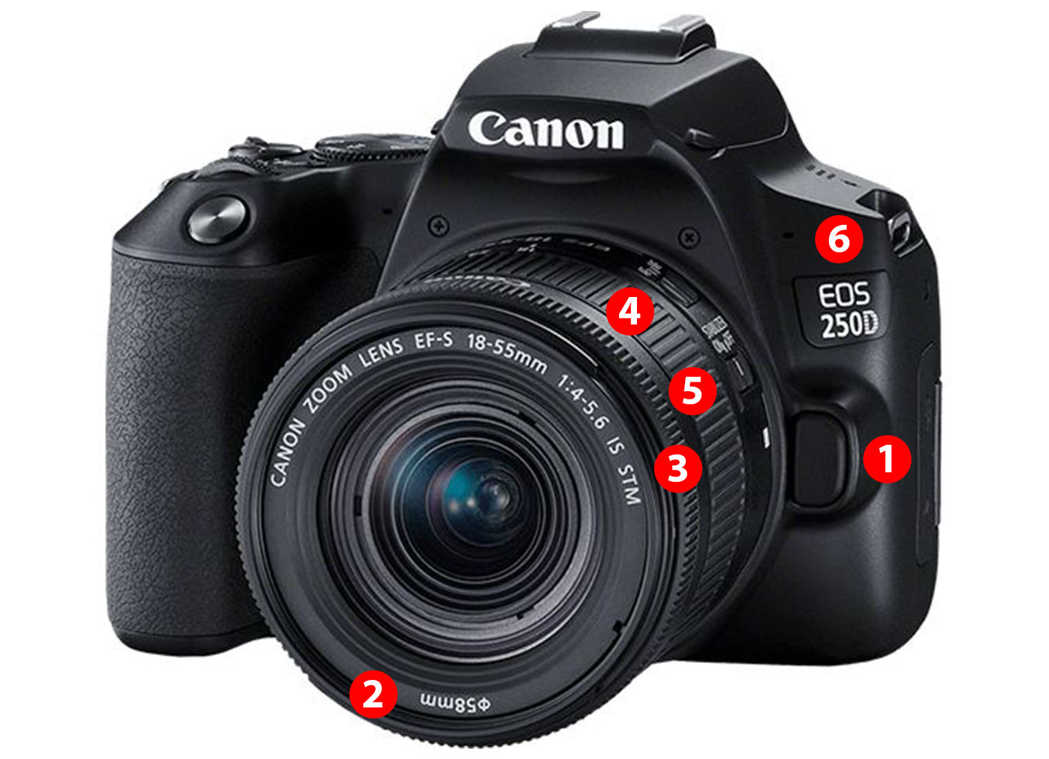 Uitleg & Tips Canon EOS 250D | De Rooij Fotografie
