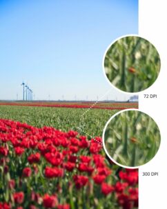 Wat is DPI en hoeveel DPI heb je nodig voor een grote afdruk? - De ...