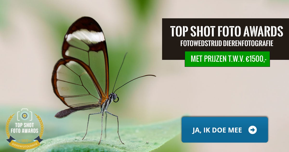 Inzendingen Top Shot Foto Awards | Dierenfotografie - De Rooij Fotografie