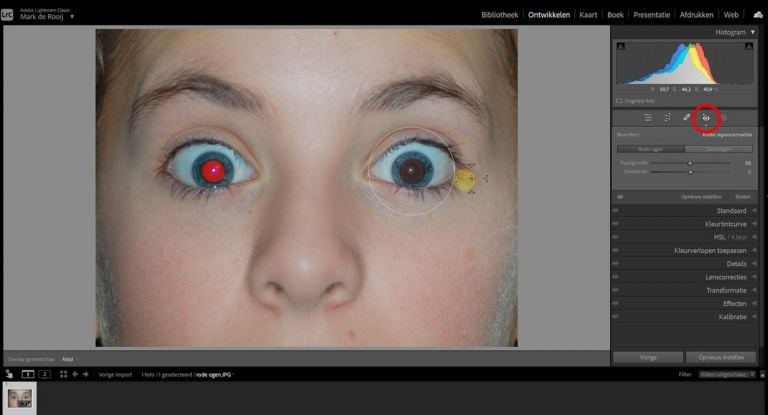 Rode ogen verwijderen in Adobe Lightroom of Photoshop - De Rooij Fotografie