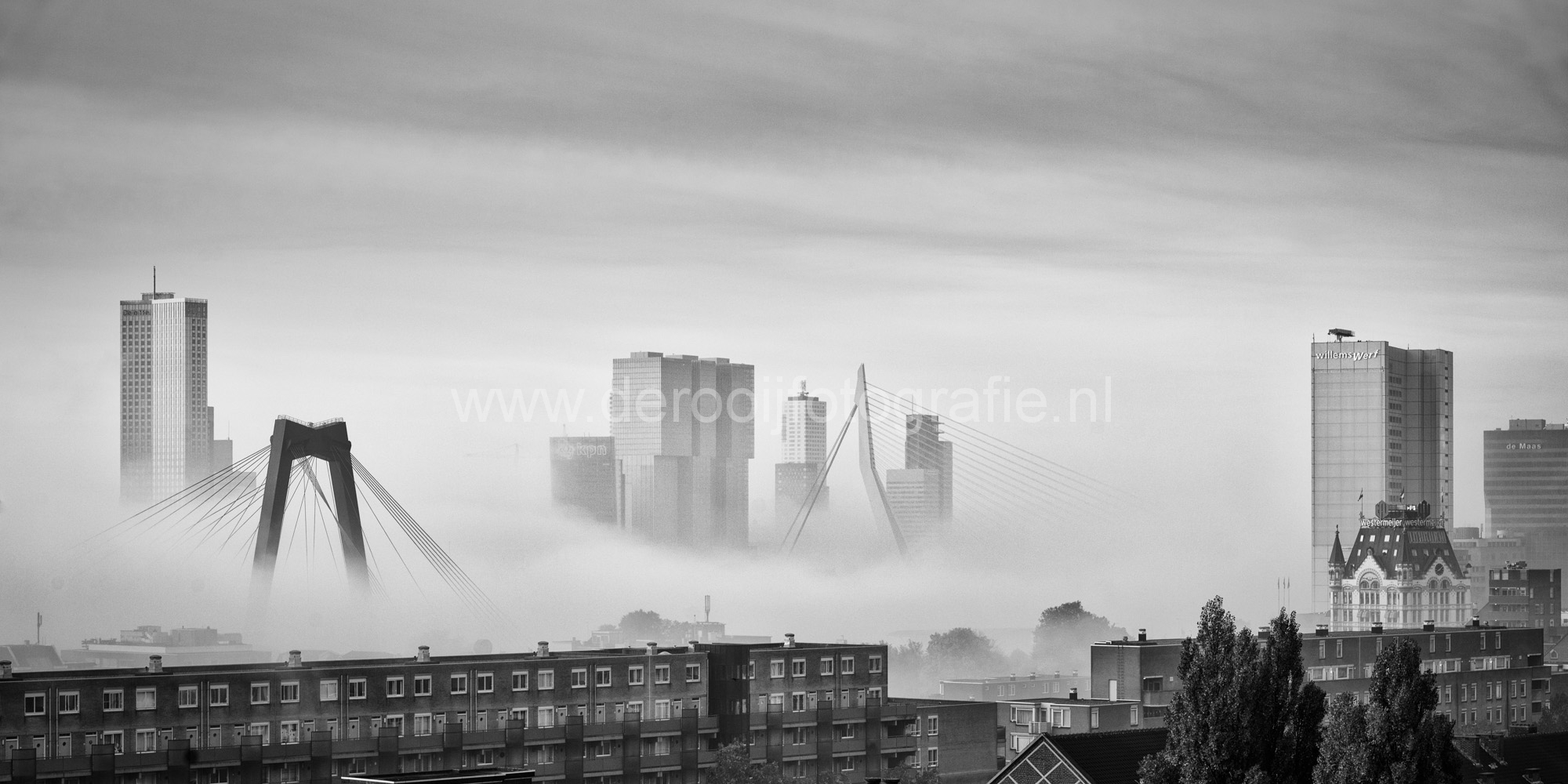 Wanddecoratie Rotterdam voor thuis en op het werk - De Rooij Fotografie