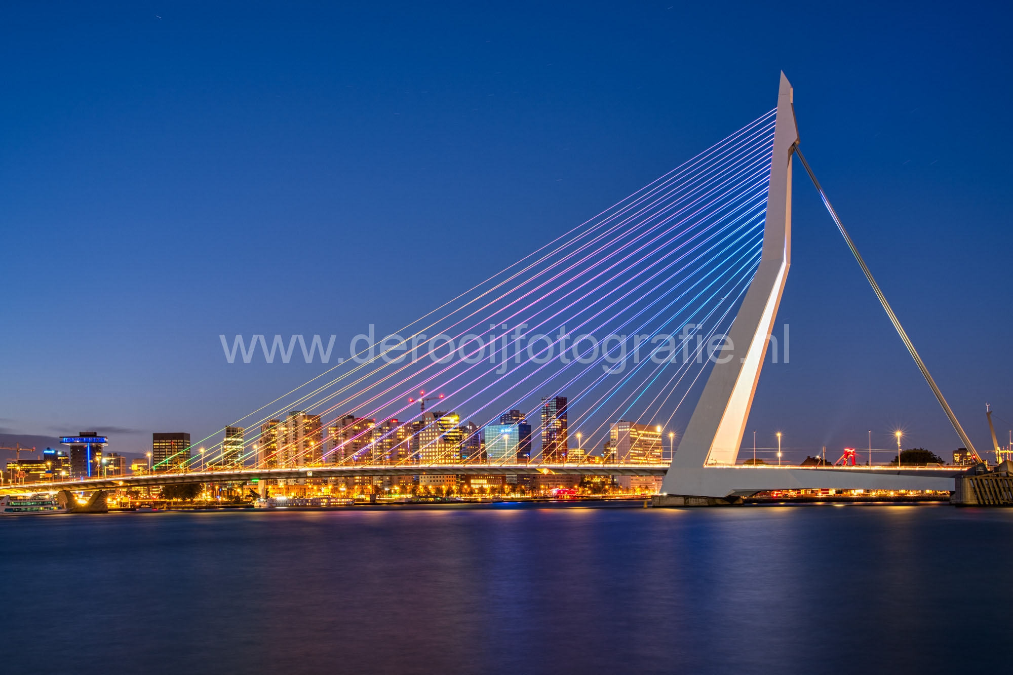 11 Mooiste foto's van Rotterdam - De Rooij Fotografie