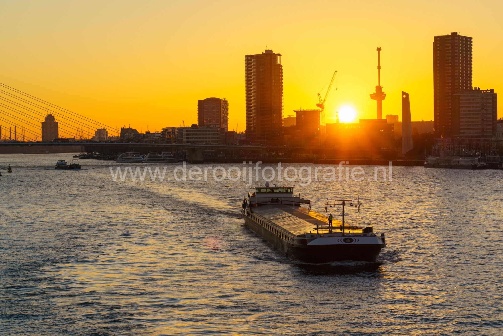 11 Mooiste foto's van Rotterdam - De Rooij Fotografie