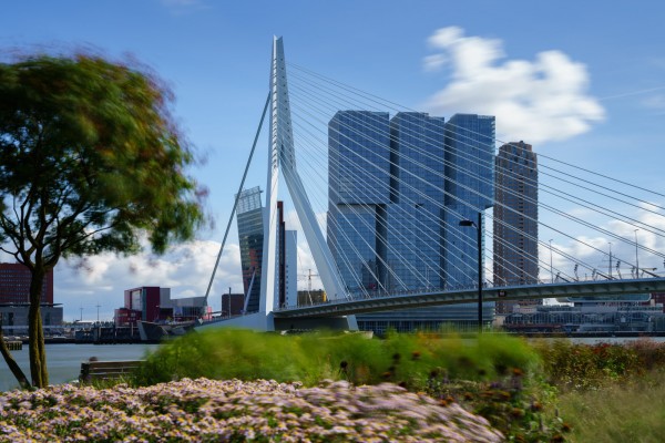 11 Mooiste foto's van Rotterdam - De Rooij Fotografie